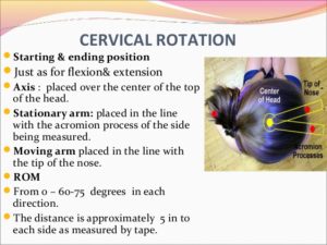 PROCEDURE FOR NECK AND TRUNK RANGE OF MOTION