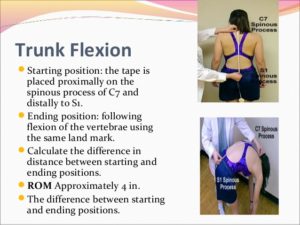 PROCEDURE FOR NECK AND TRUNK RANGE OF MOTION