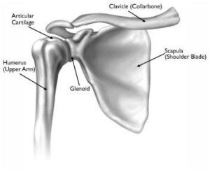Frozen Shoulder - Samarpan Physiotherapy Clinic