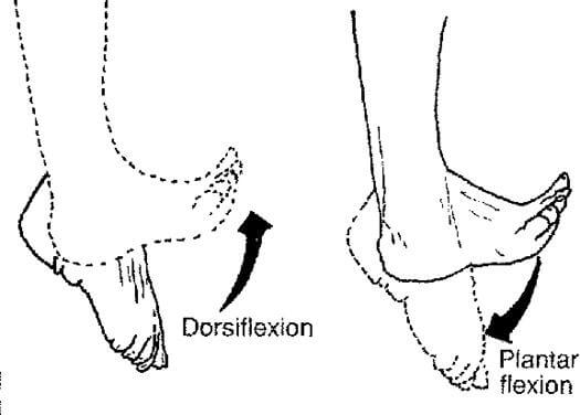 Ankle Range of motion exercise: Active, Active assisted, Passive exercise
