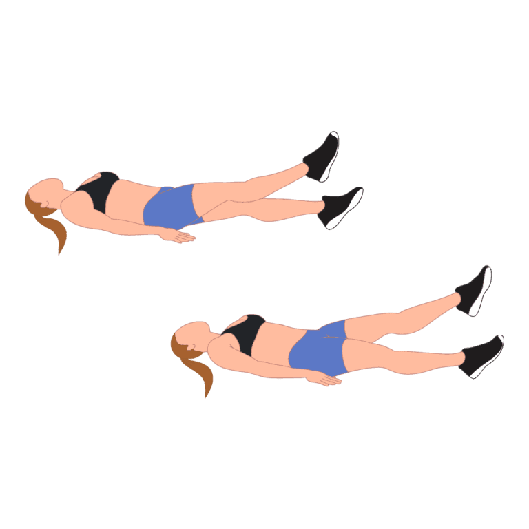 Abdominal muscles: Anatomy, Function, Exercise | Samarpan Physio Clinic