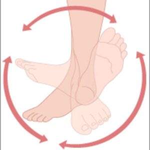Ankle Range of motion exercise: Active, Active assisted, Passive exercise