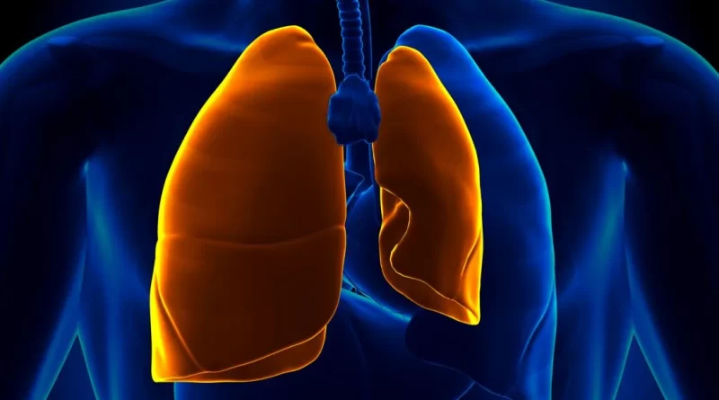 pneumothorax diagnosis Archives - SAMARPAN PHYSIOTHERAPY CLINIC AHMEDABAD