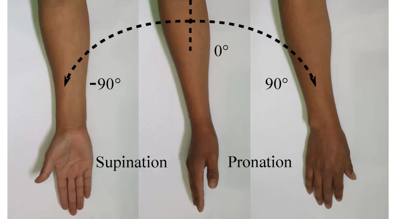forearm supination mmt Archives - SAMARPAN PHYSIOTHERAPY CLINIC AHMEDABAD