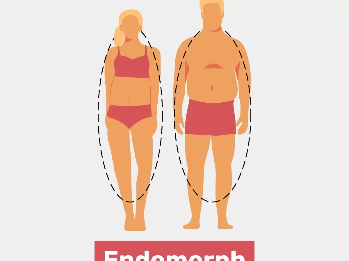 Famous Endomorph Athletes Endomorph Body Type: Losing Weight With An