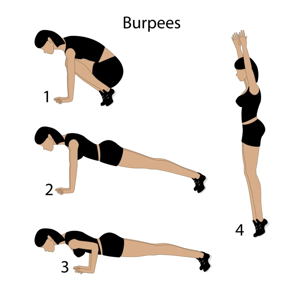 Burpee Exercise: Health Benefits, Muscle Work, How to do?